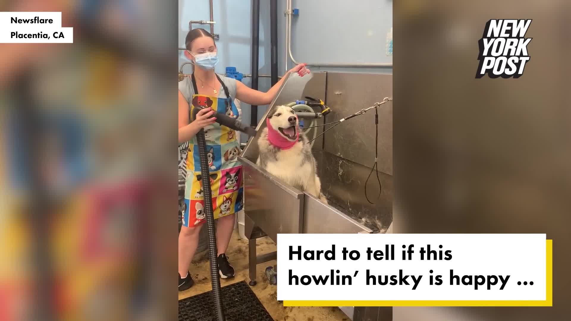 Cô gái xinh như thiên thần đốn tim cư dân mạng chỉ trong 5 giây