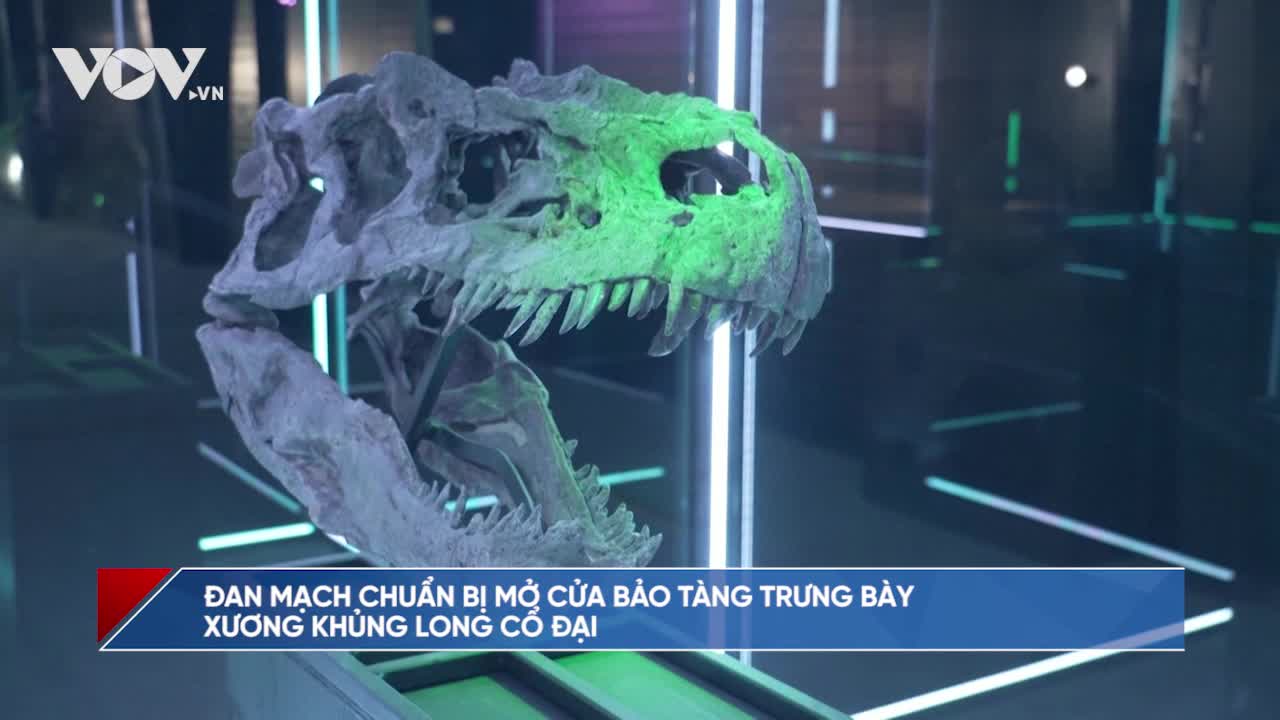 Đan Mạch chuẩn bị mở cửa bảo tàng trưng bày xương khủng long cổ đại ...