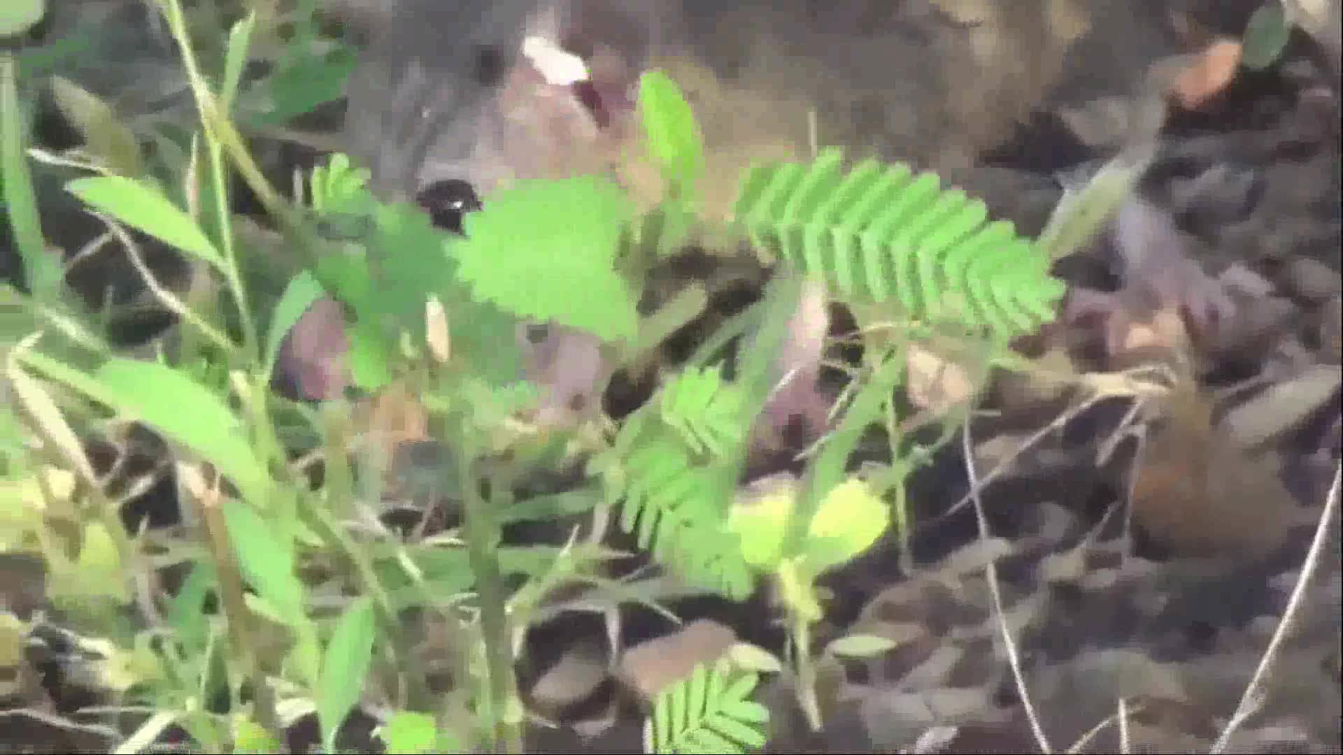 Tin tức tổng hợp, tin nhanh mới nhất trong ngày | soha.vn