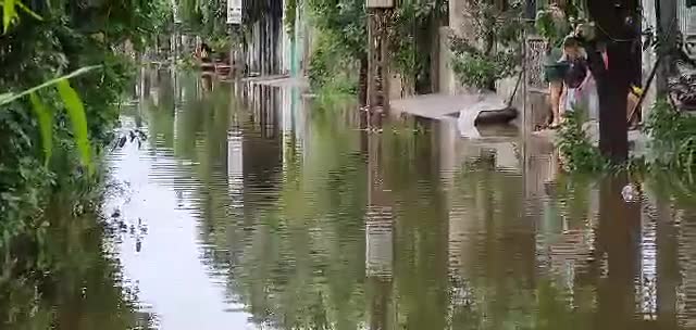 Tin tức tổng hợp, tin nhanh mới nhất trong ngày | soha.vn