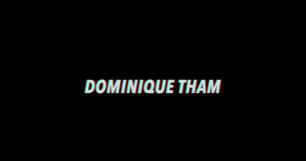 Highlights của Dominique Tham, Việt kiều tân binh của VBA 2022